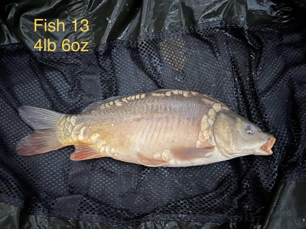 Stone Private Angling Club - Phase One Stocking Program