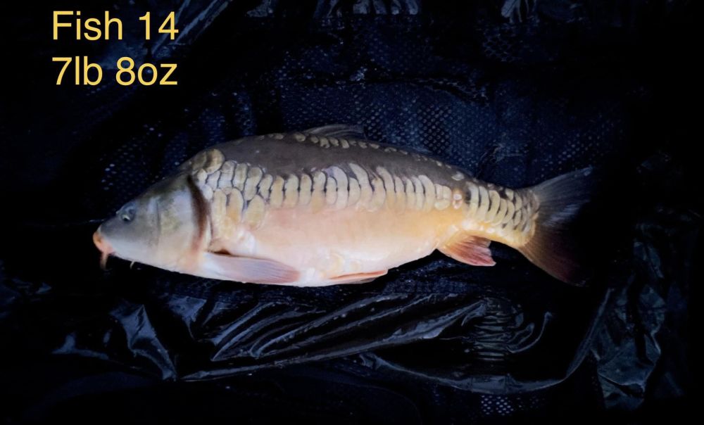 Stone Private Angling Club - Phase One Stocking Program