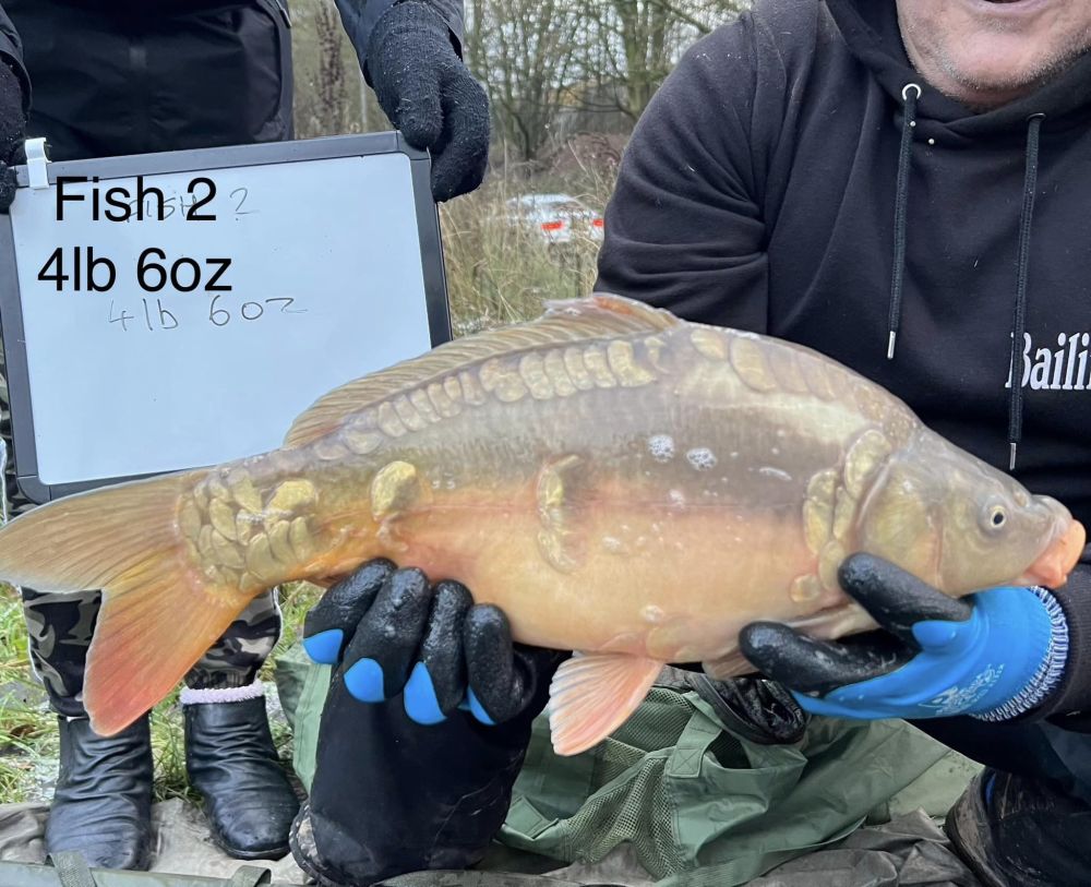 Stone Private Angling Club - Phase One Stocking Program