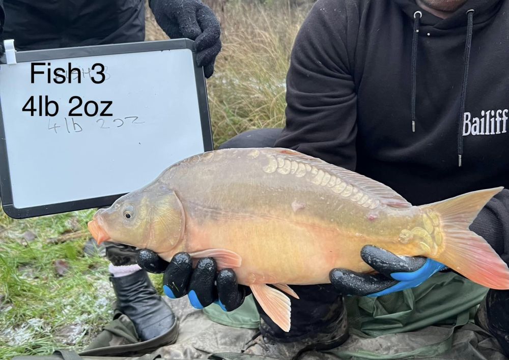 Stone Private Angling Club - Phase One Stocking Program